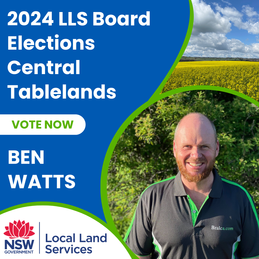 Ben for LLS Board Member - Bralca.com